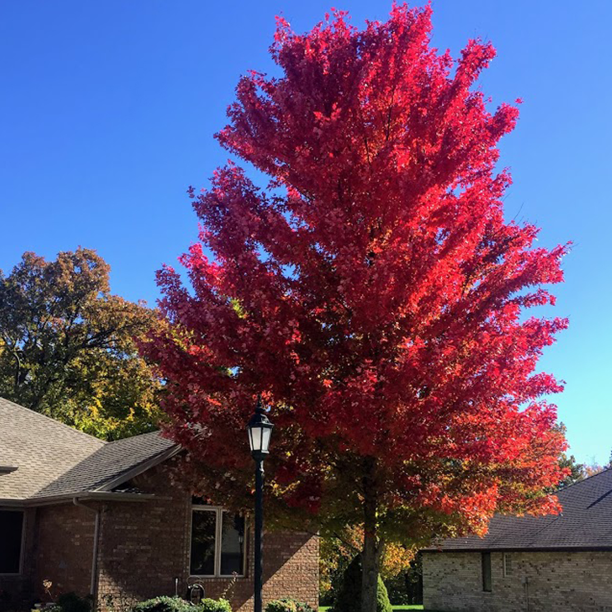 Nature at Maranatha Village, Springfield MO